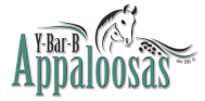 Y-Bar-B-Appaloosas - YB Bright Princess
